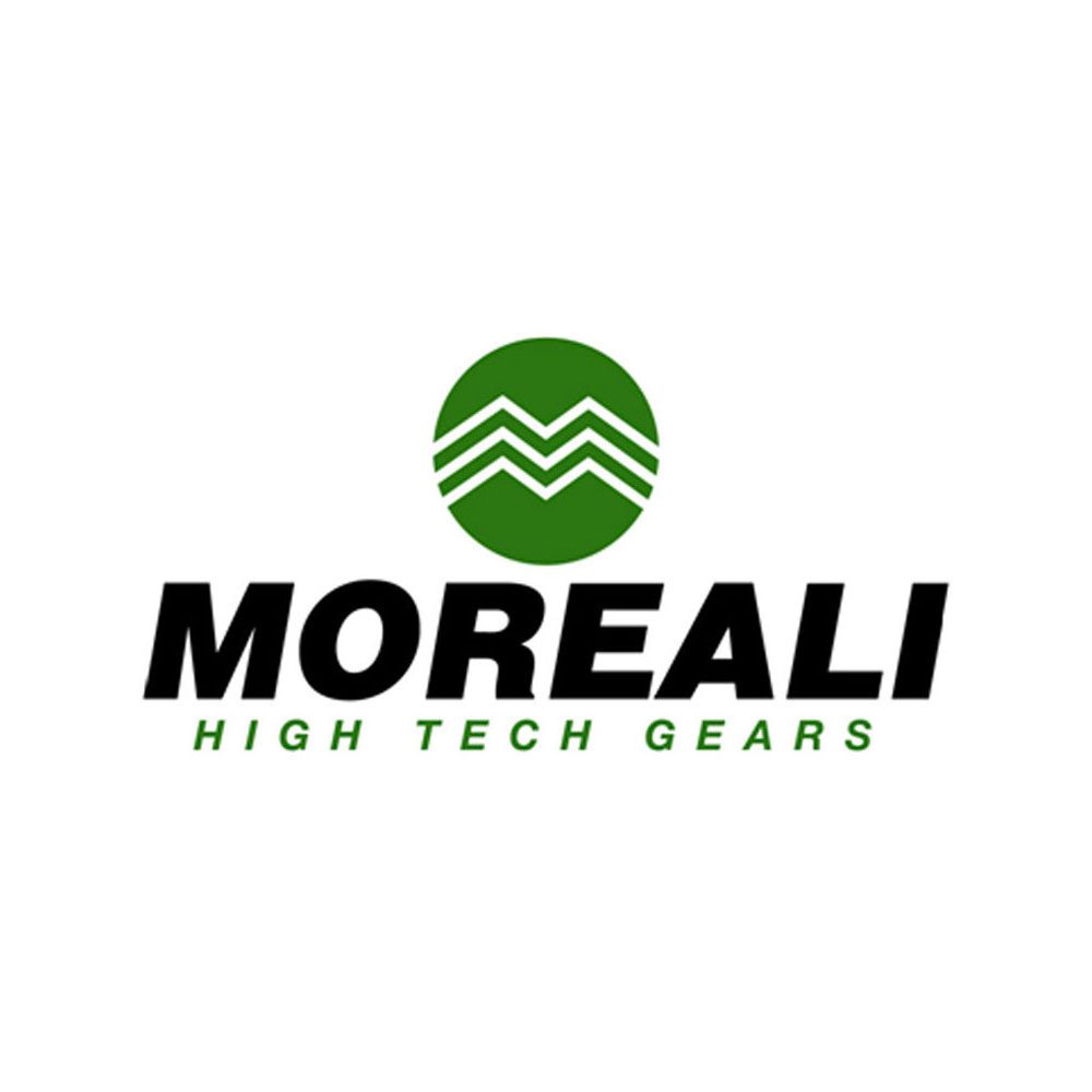 Ingranaggi Moreali: quality principles and products