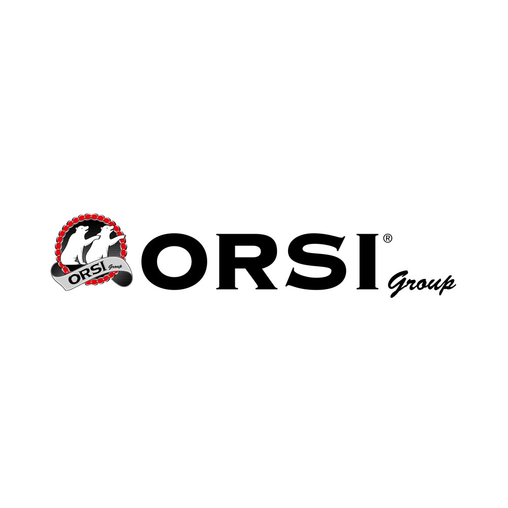 ORSI Group S.r.l. - b2bindustry