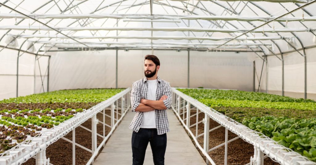 The potential of greenhouses in Spanish agritech projects