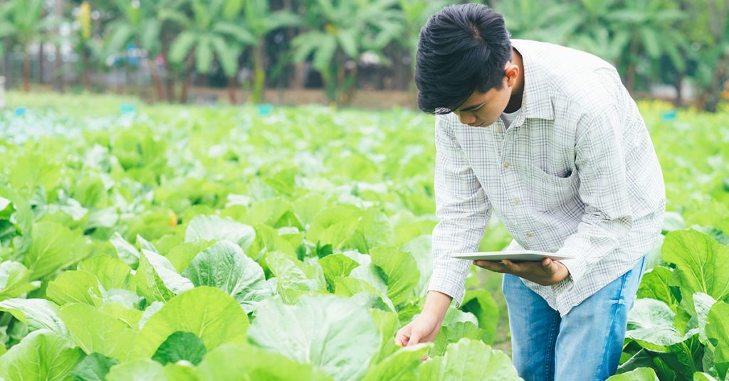 What is smart agriculture? How does it redesign the agricultural sector?
